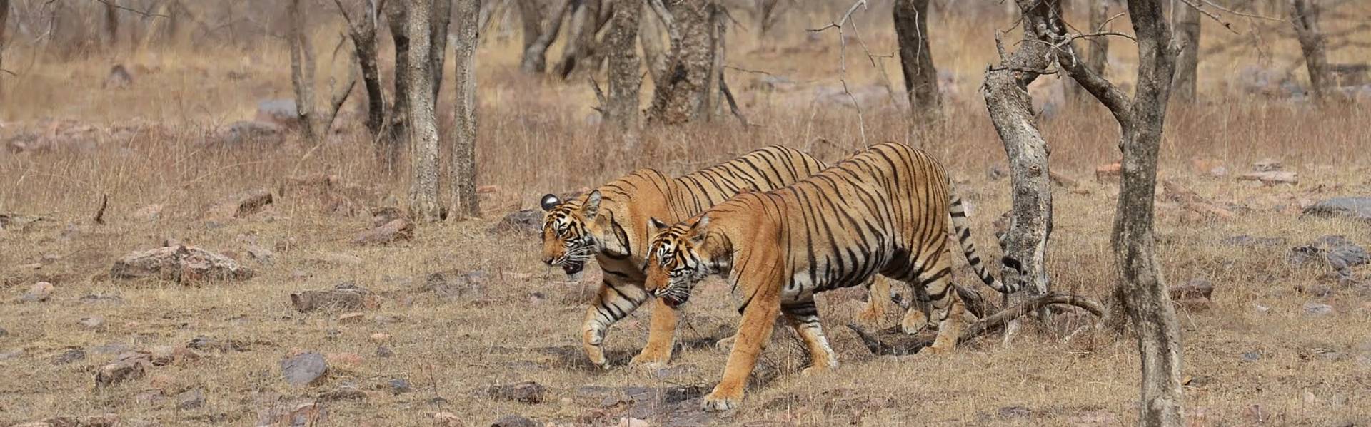 Meet Hemendra Kothari