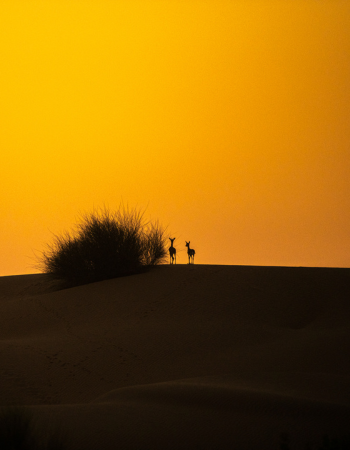 Sanctuary Nature Foundation