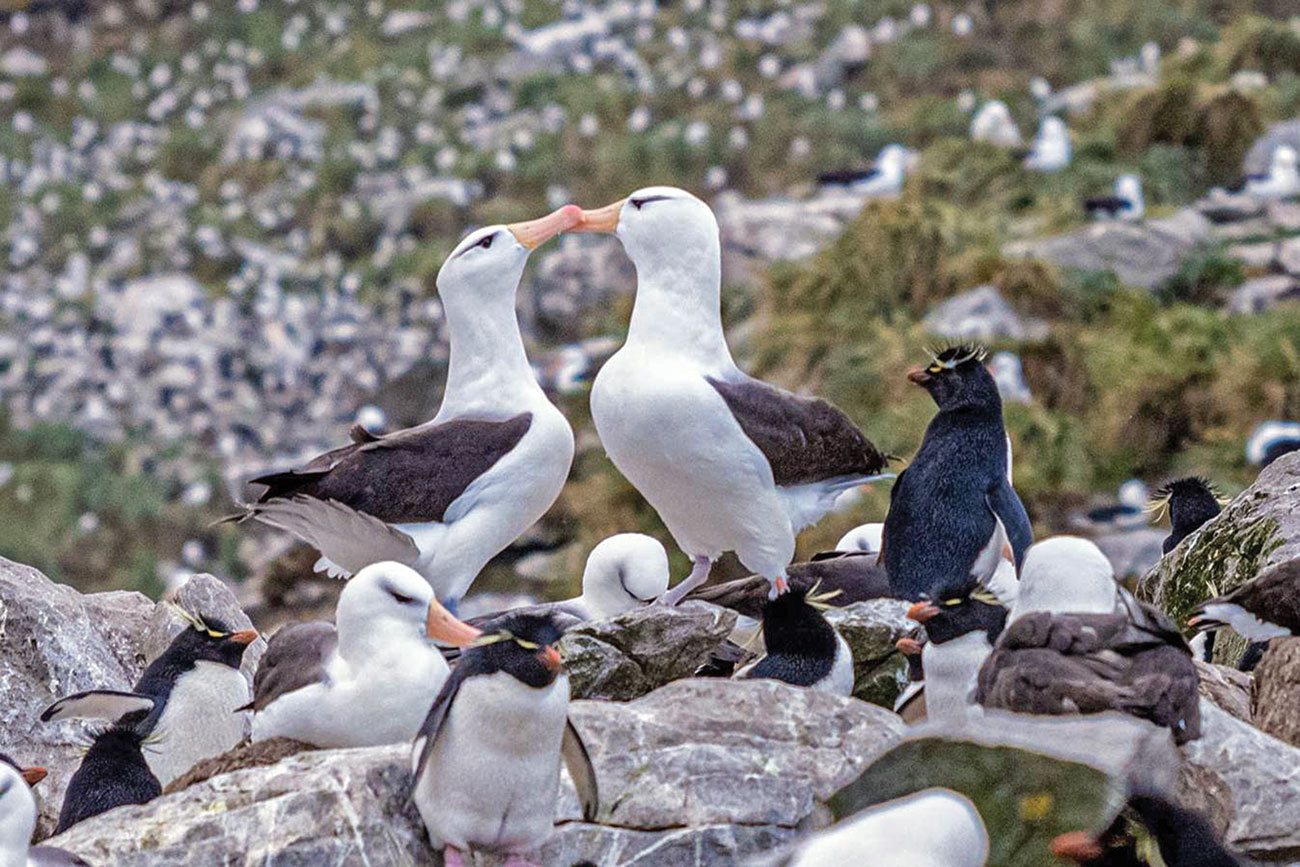 Adventure To The End Of The World