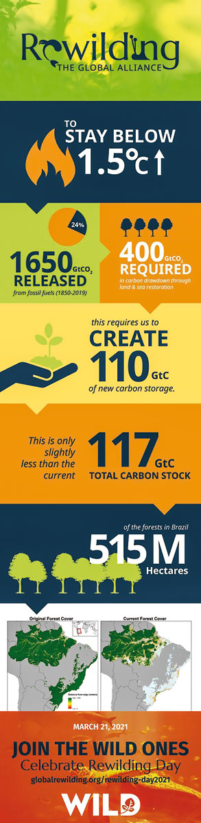 Can Rewilding Save The Paris Agreement?