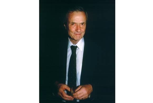 The Black-winged Stilt