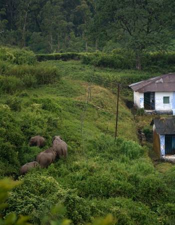 Sanctuary Nature Foundation