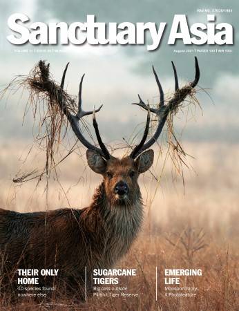 Sanctuary Asia Magazine